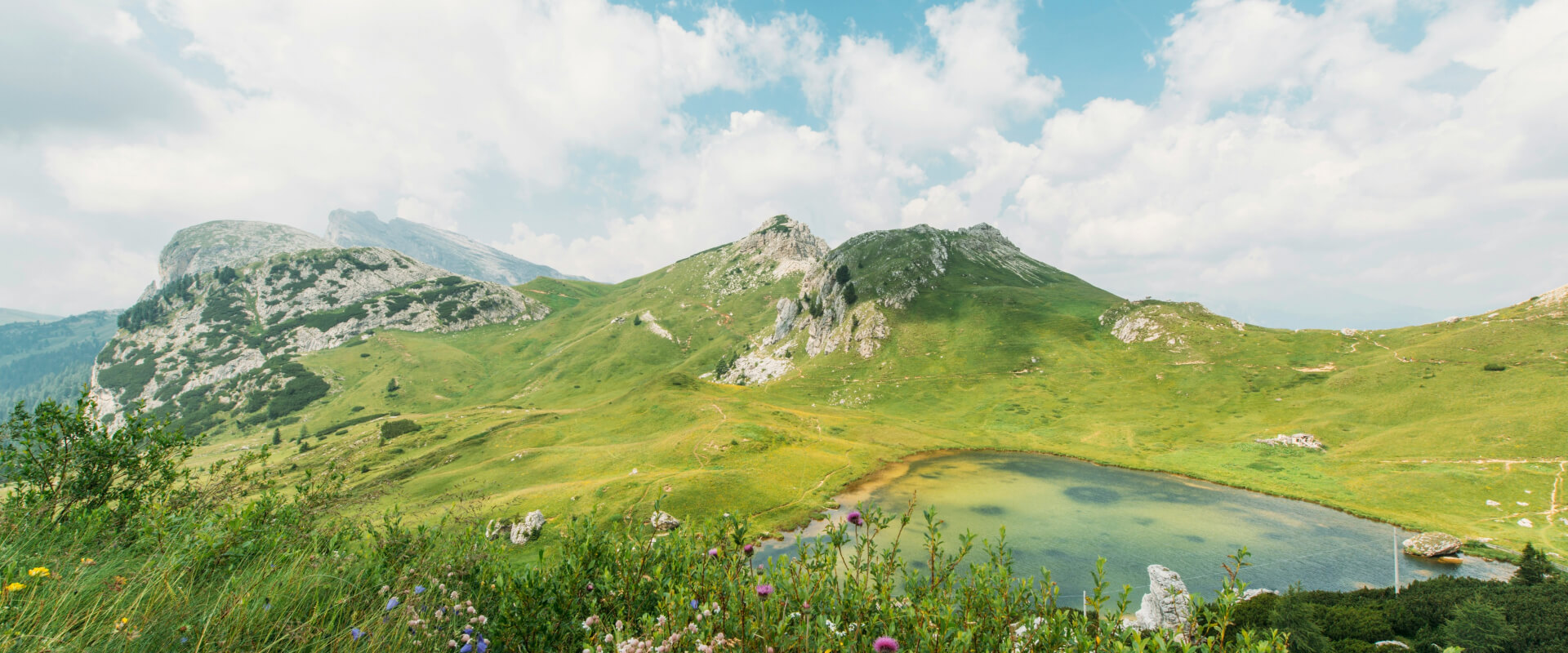 Home - Devine Bridge